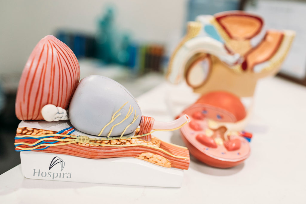 Dr Paul Cozzi | Best Urological Surgeon | Urology Sydney